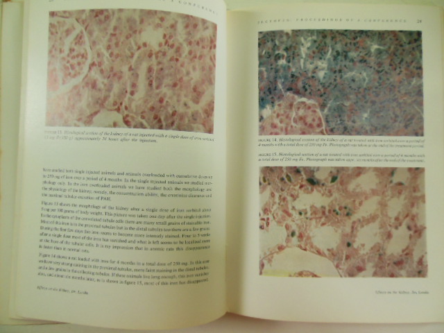 Jectofer; Proceedings of a Conference